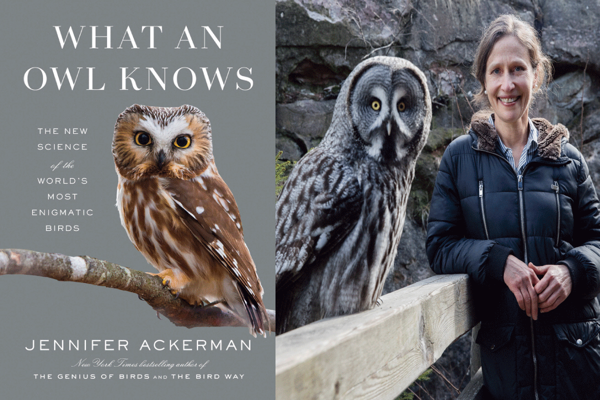 Owls And Humans Owls & Humans Share Trait | Naturally Curious With