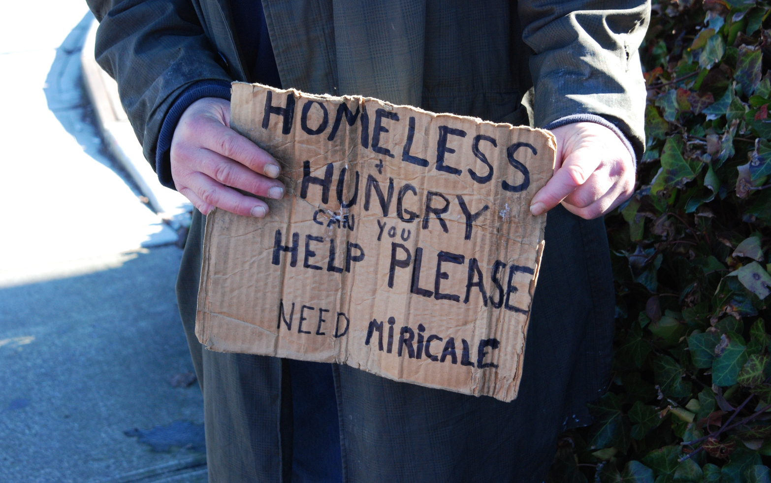 Homeless And Hungry Sign