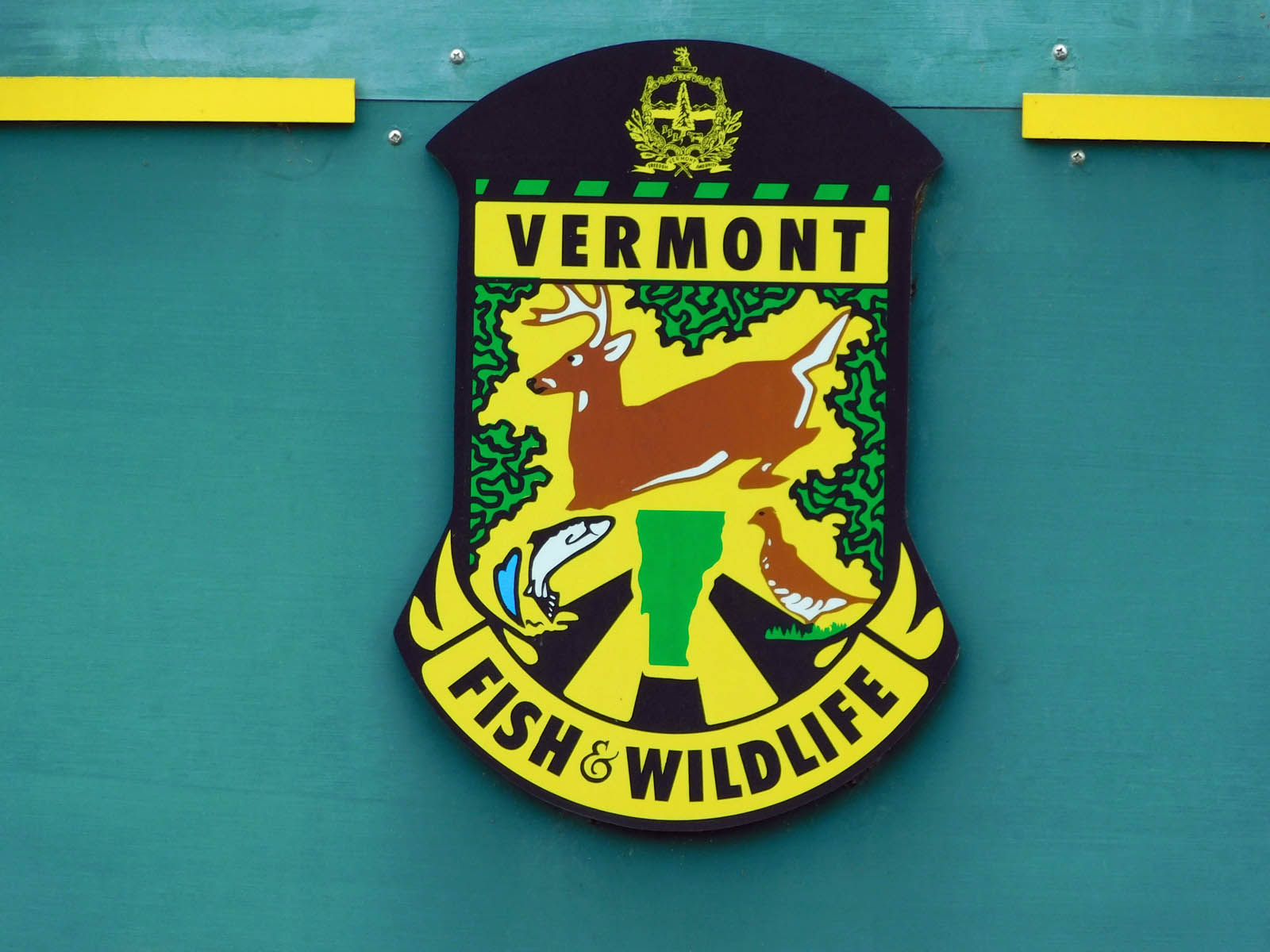Vermont Fish And Wildlife Logo Skinning A Deer: Tips And Techniques