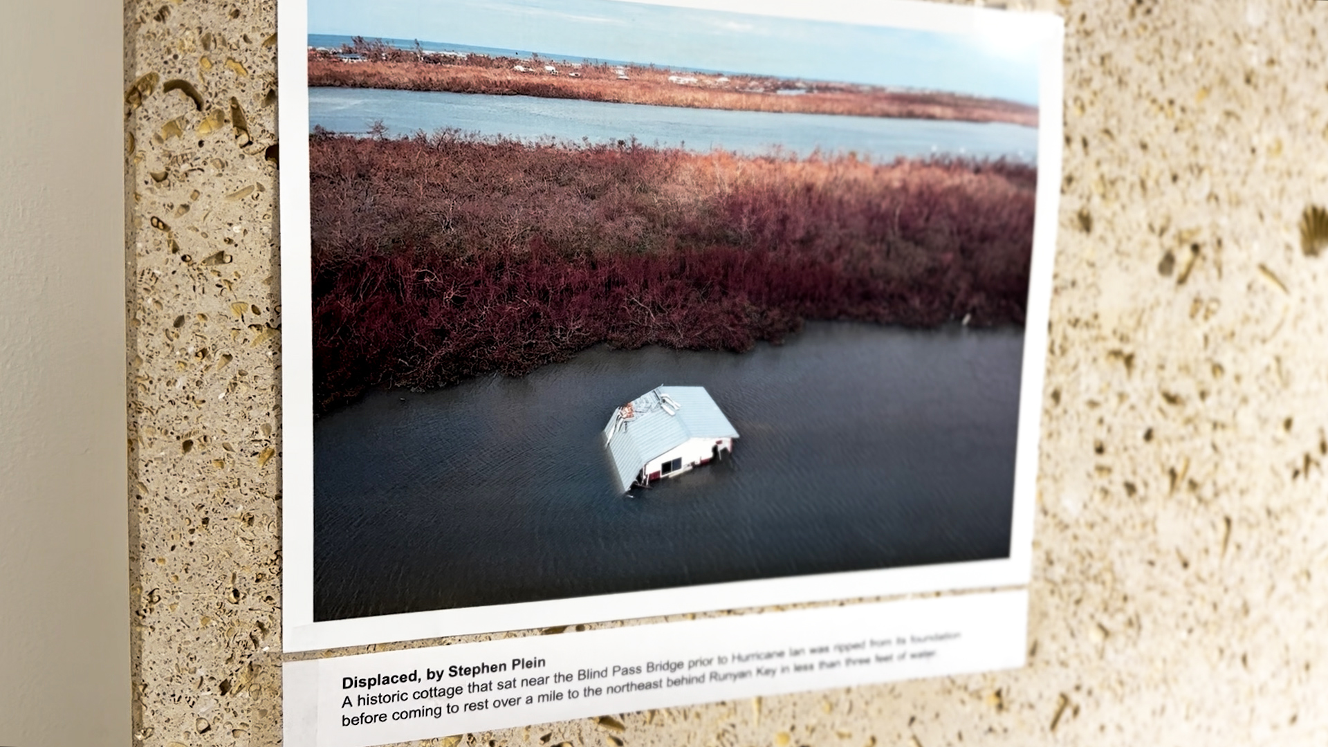 Bailey Matthews Shell Museum Sanibel