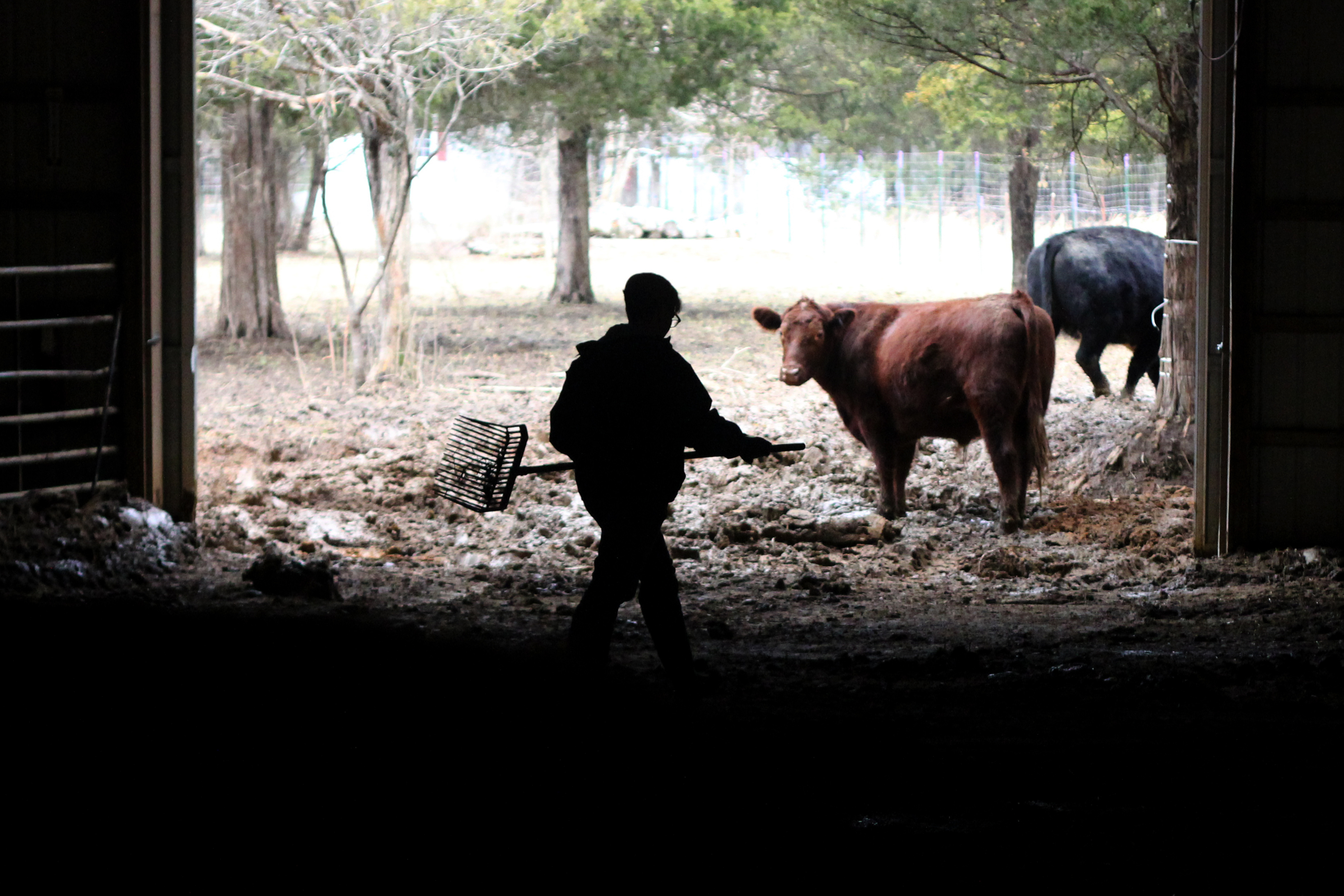 Petition update · St. Louis NPR Releases Investigation on The Gentle ...