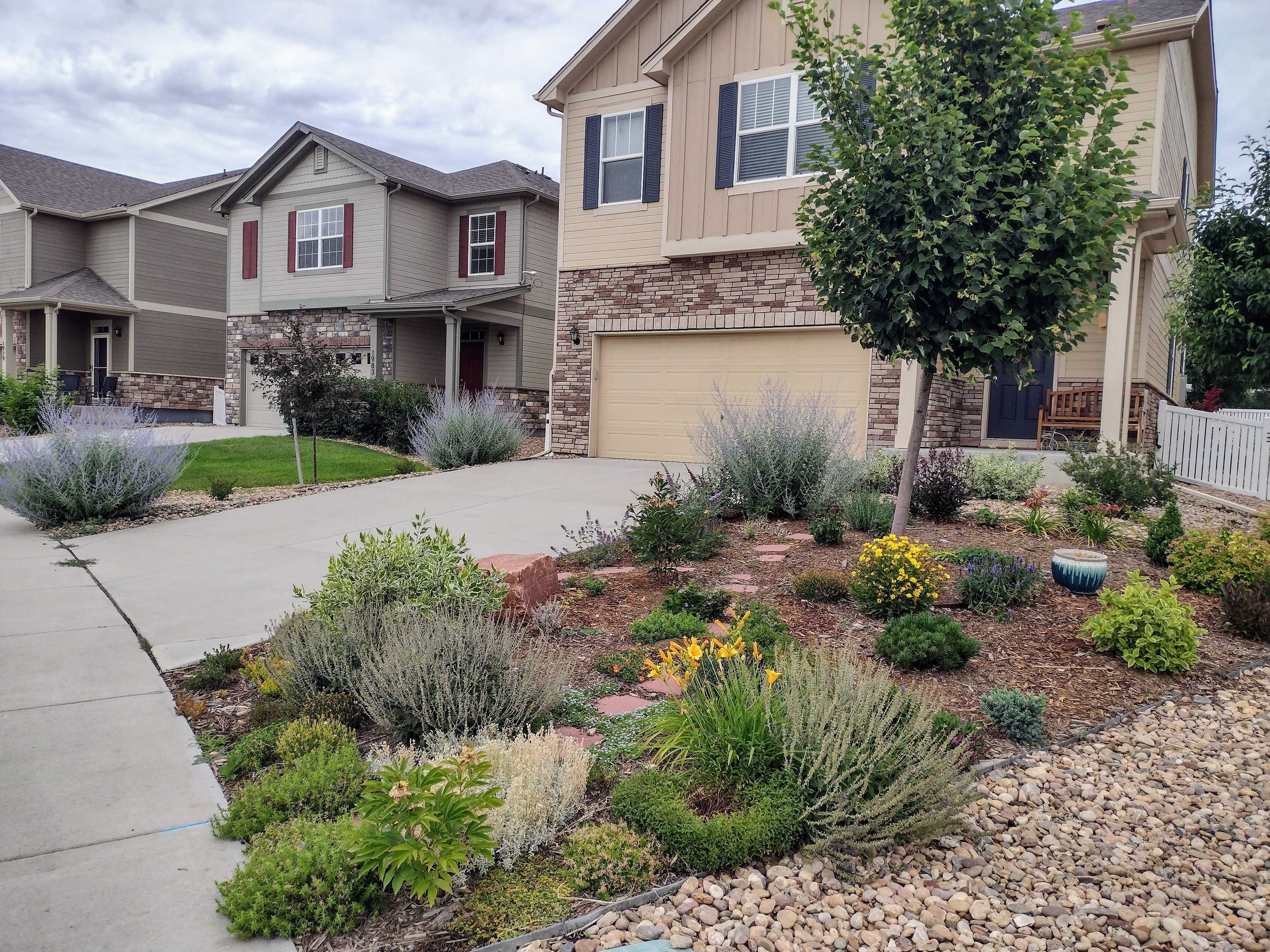 Colorado Drought Tolerant Landscape The Colorado Turf Replacement