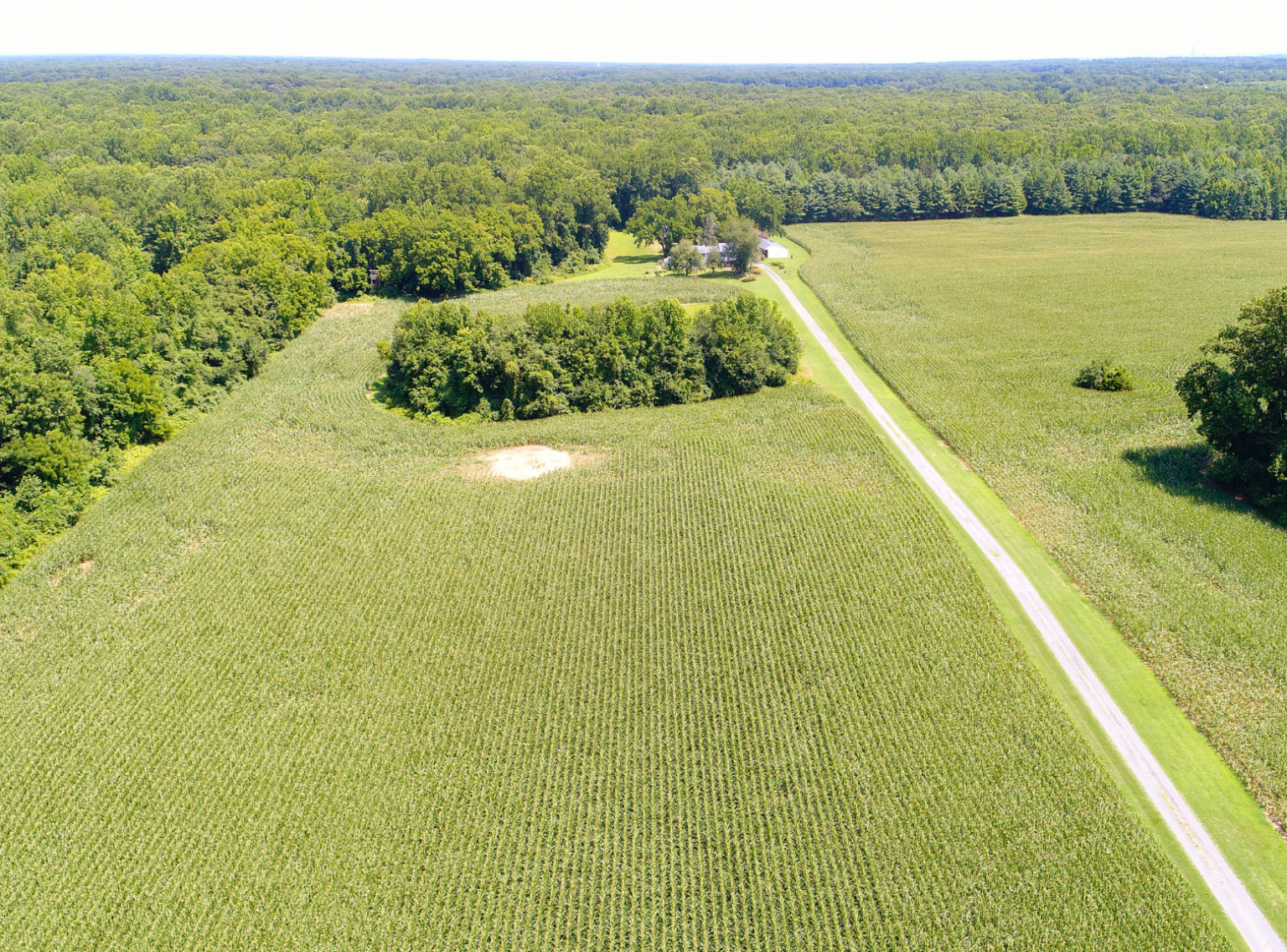 Delaware Colony Farm