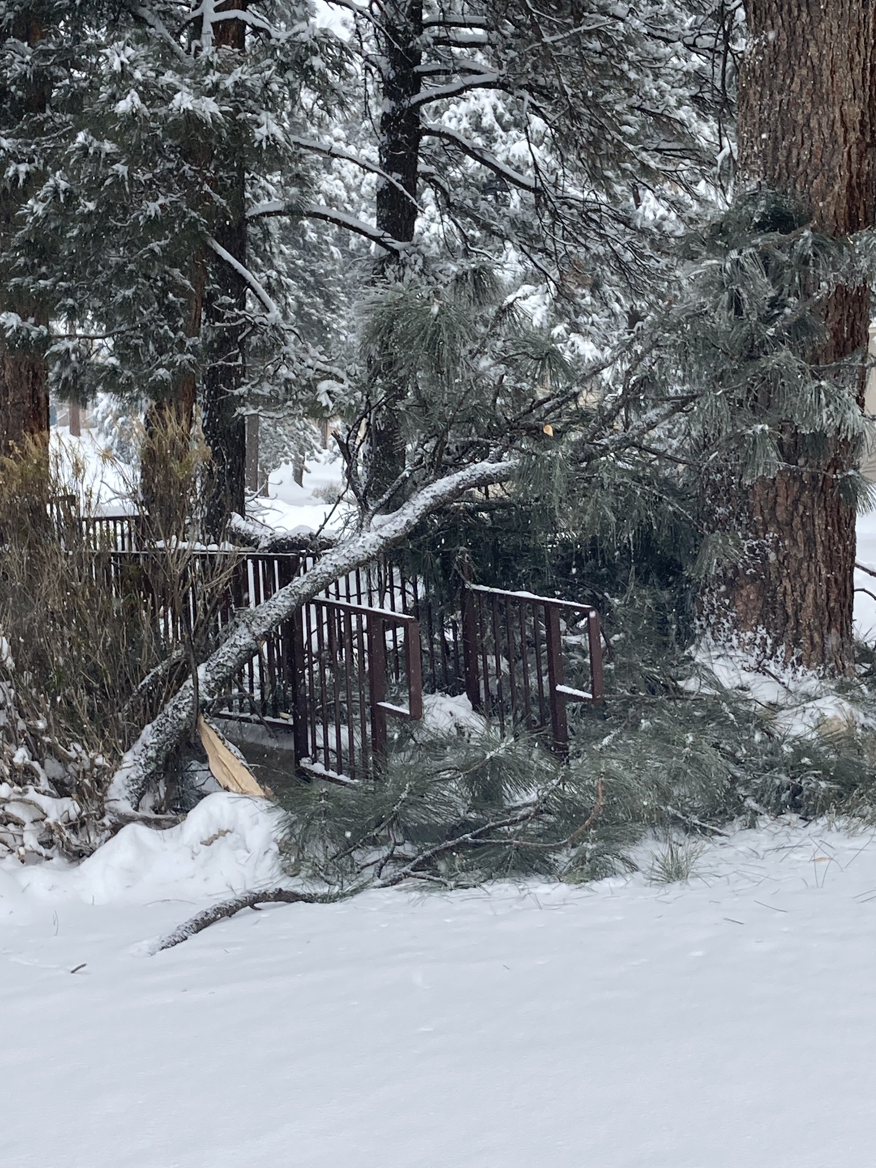 Ruidoso Snowfall