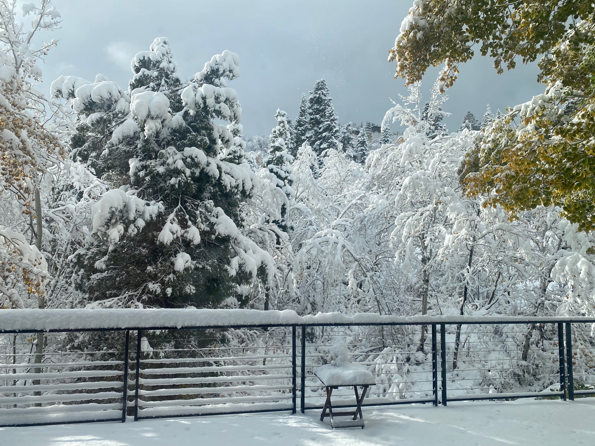 2022 Verde Park Payson Easr Snow