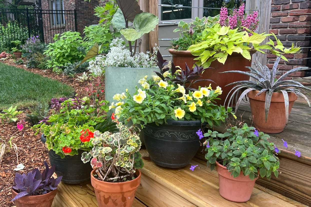 Container Gardens For Patio Designs Container Gardening Ideas: 12