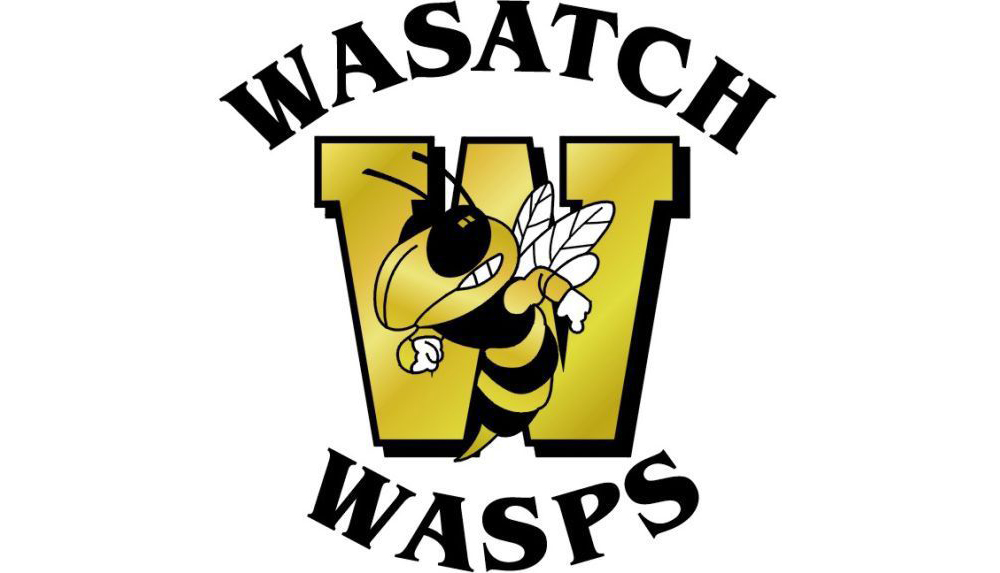 Wasatch Wasps Logo Wasatch High School Wasps Fanthread Youth 2 Stripe