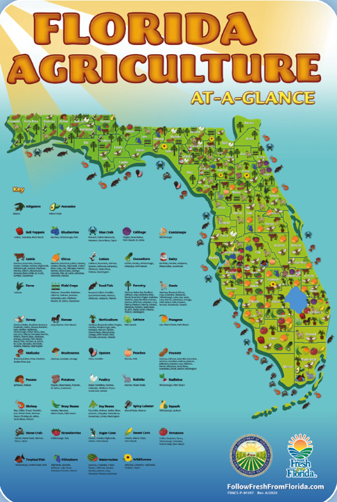 Florida Agriculture Industry Map Dry Weather Increases Fire Danger