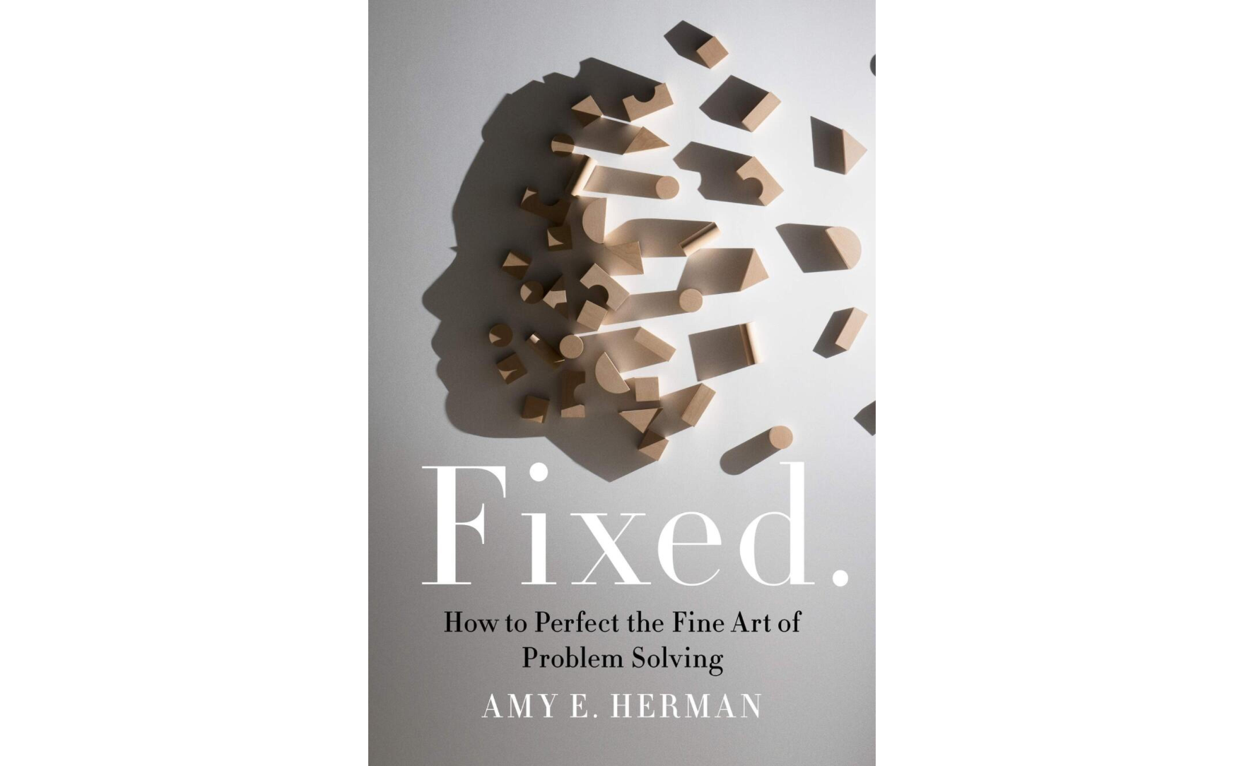 Amy Herman Art Of Perception