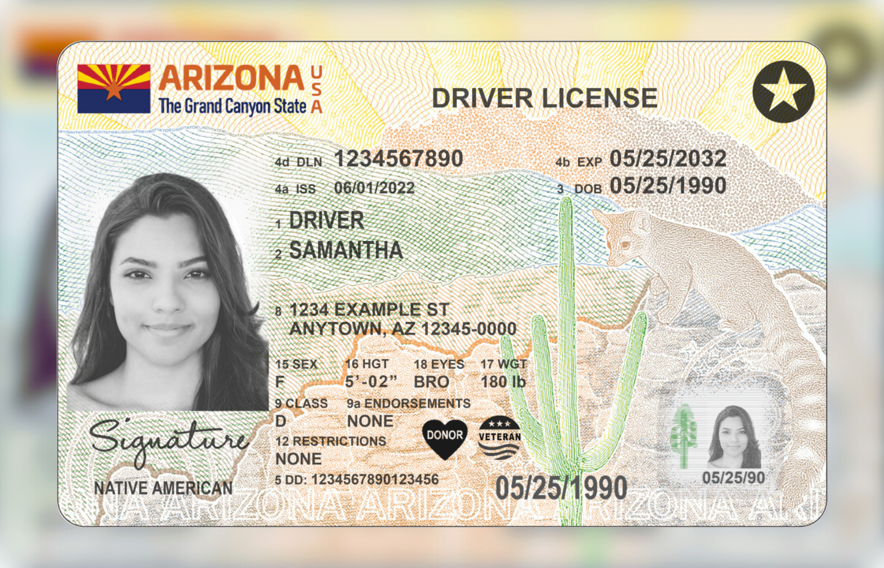 Arizona Id Card