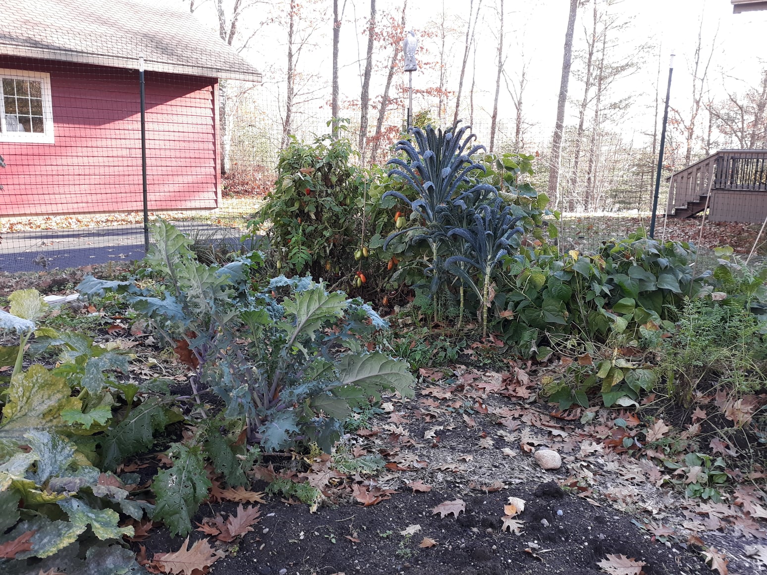 Frost Zones In Wisconsin Gardeners Need To Adjust As Hardiness Zones