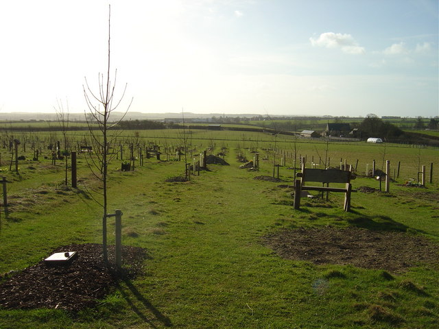Natural Burial Cemeteries
