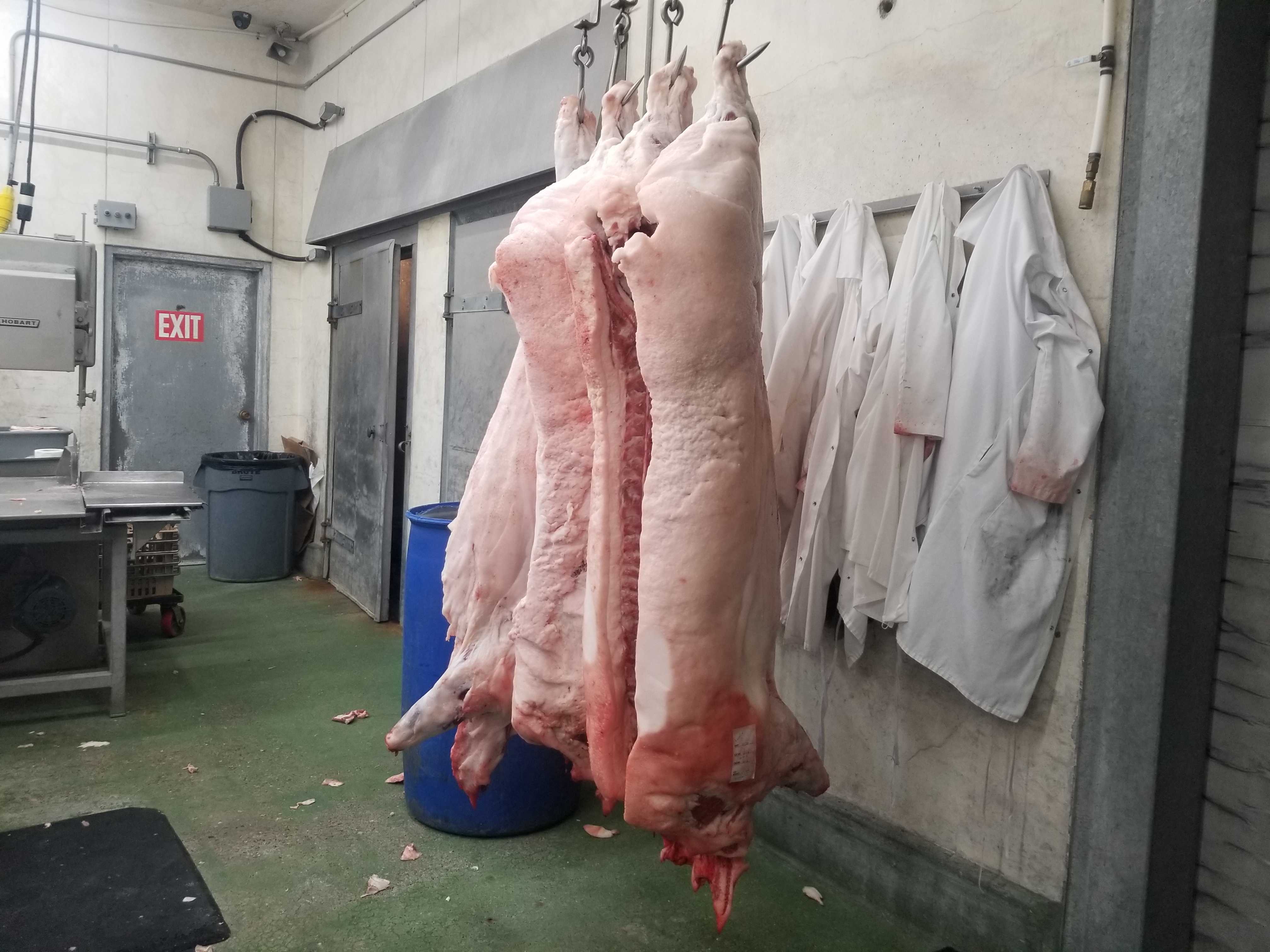 Slaughterhouse Animals Hanging