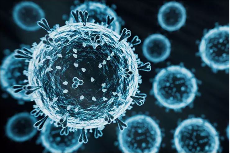 Flu Under Microscope Seeing Viruses By Both Light And Electron
