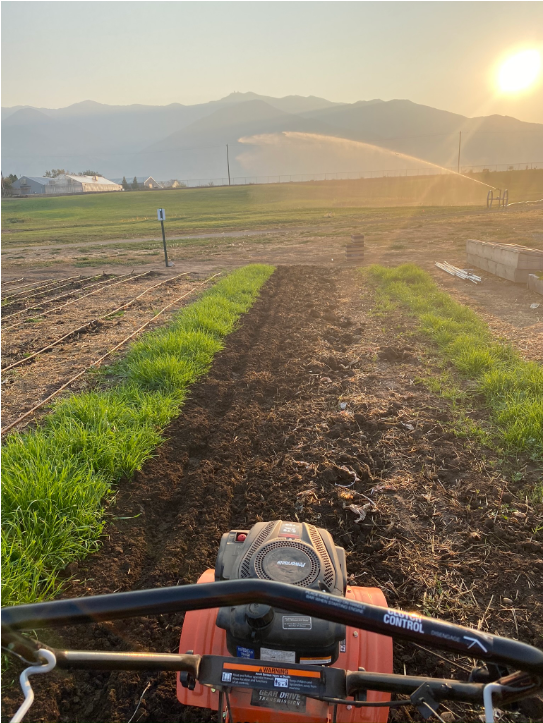 Pulse Wave Irrigation