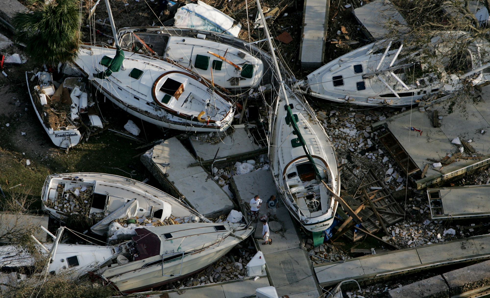 Hurricane Ivan Pensacola Trees Broken By Hurricane Ivan Lay In Front