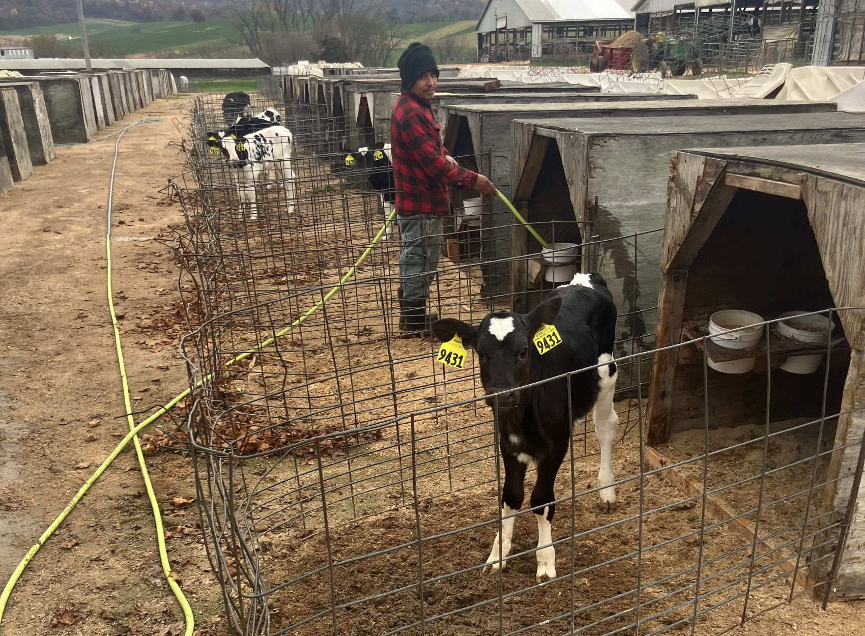Small Dairy Farm Operation