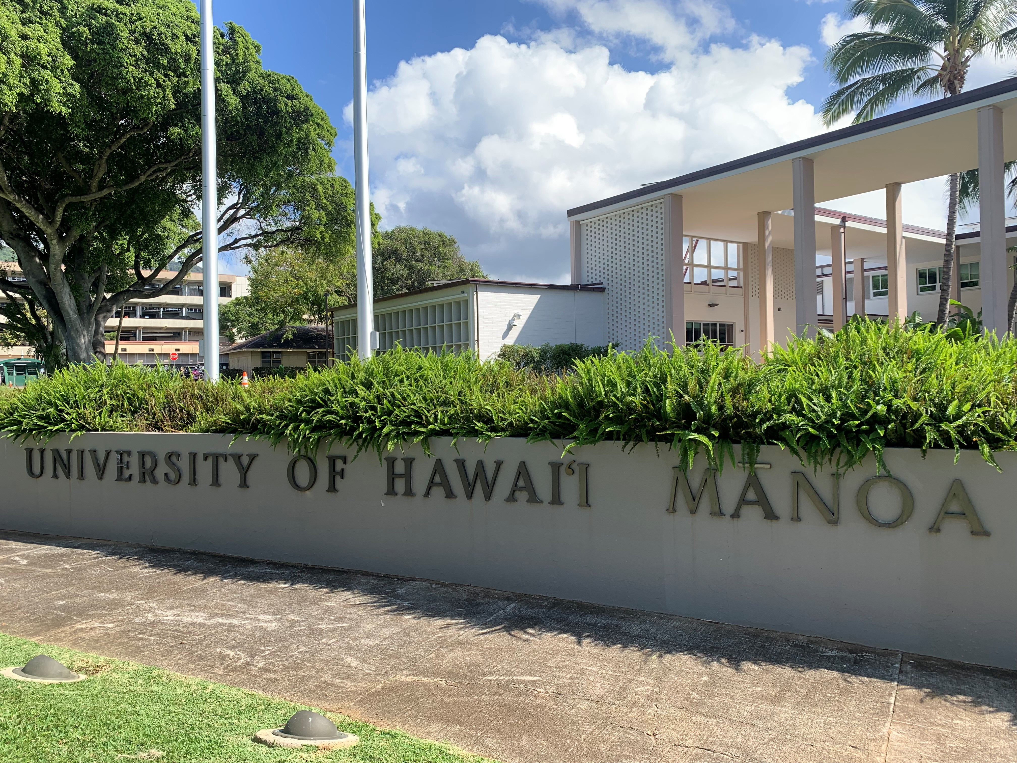 University Of Hawaii Manoa Logo Hanahau'oli School