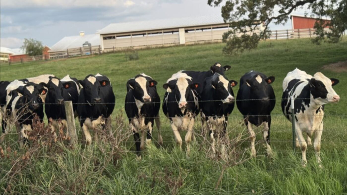 Add health insurance costs to problems facing American farmers : Shots ...