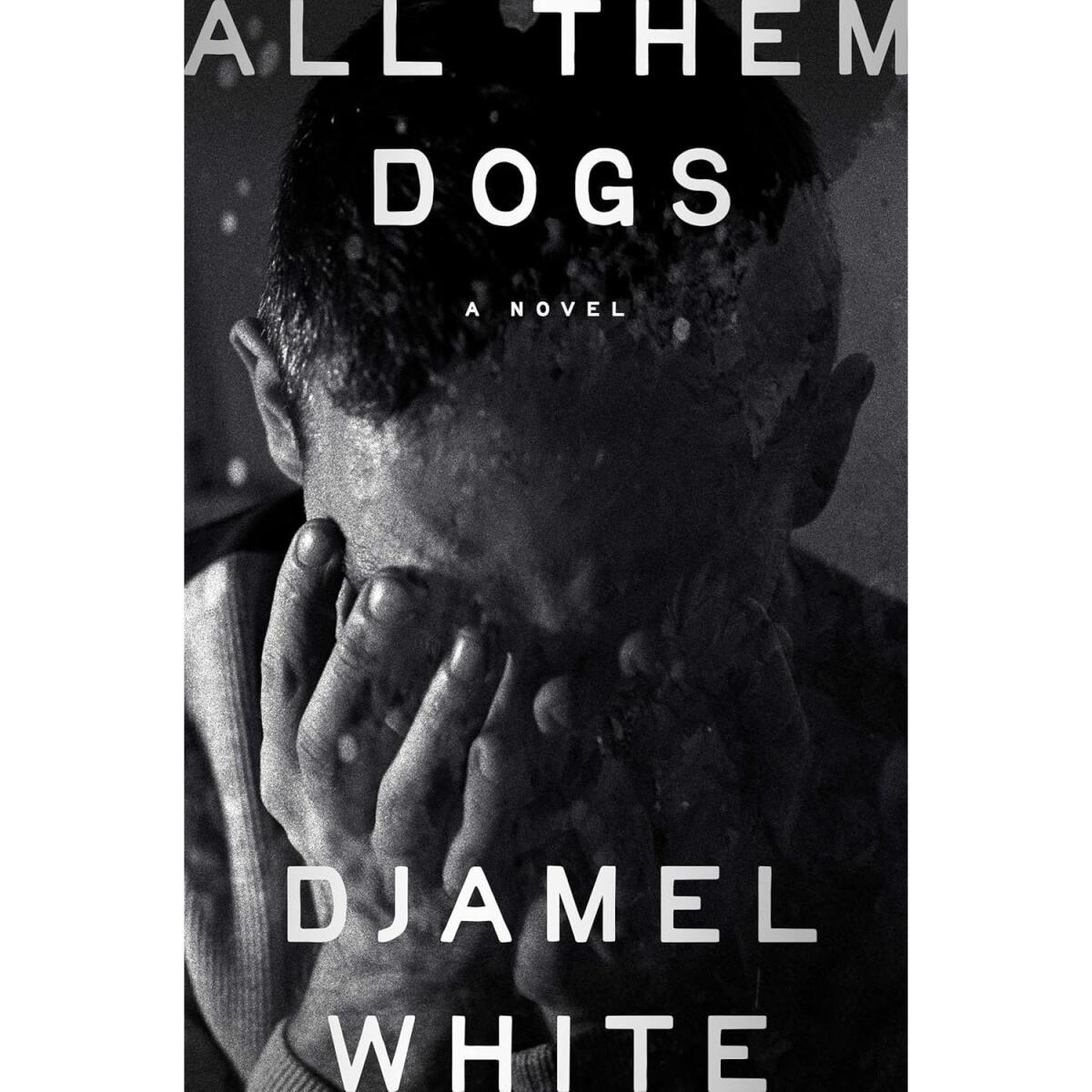12 Unmissable Books Coming in May 2026 | KQED
