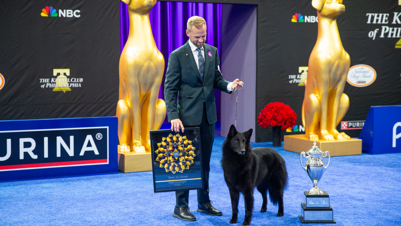 Belgian Sheepdog Wins Best in Show at National Dog Show | NPR - World ...