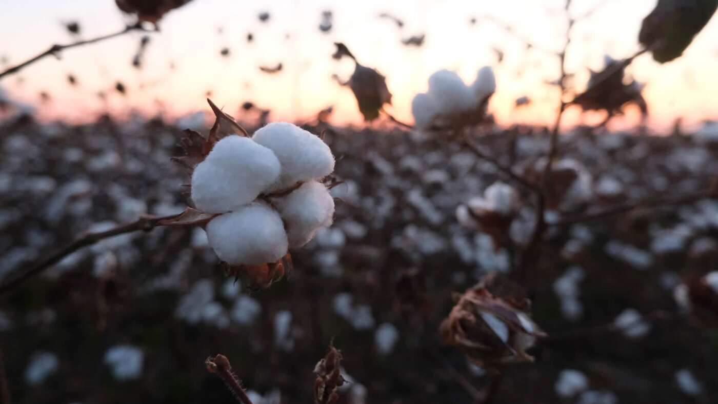 Add health insurance costs to problems facing American farmers : Shots ...