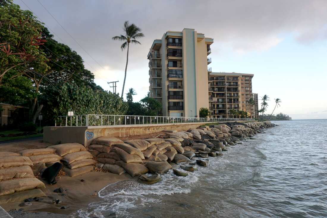 Rebuilding Lahaina to be more resilient after deadly wildfire : NPR