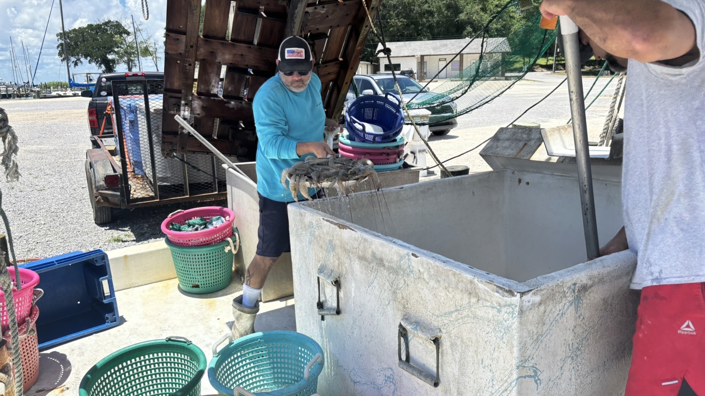 Dredging Mobile Bay in Alabama has found unlikely allies : NPR