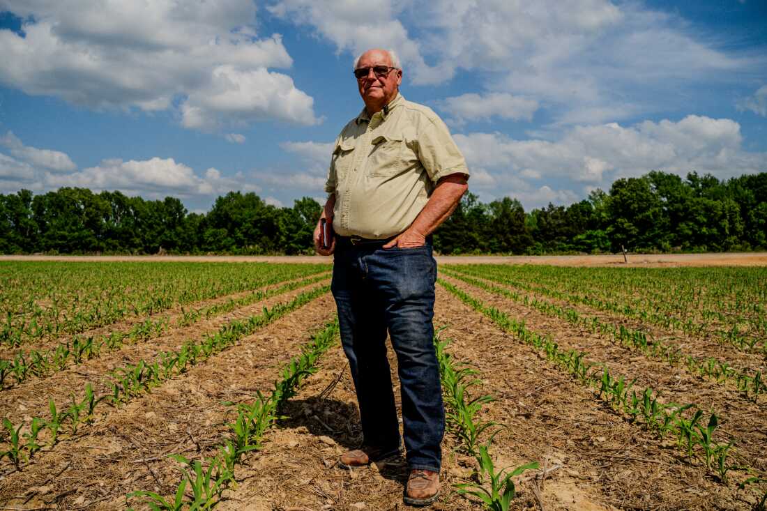 The rising cost of fertilizer and fuel prices is pushing some farmers ...