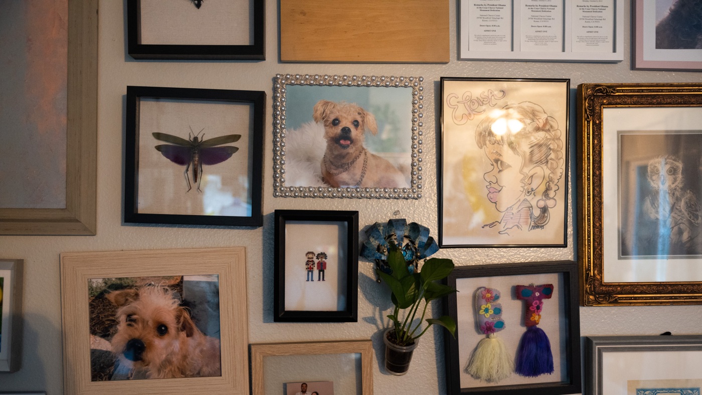 Families splurge on their pets even as inflation raises costs : NPR