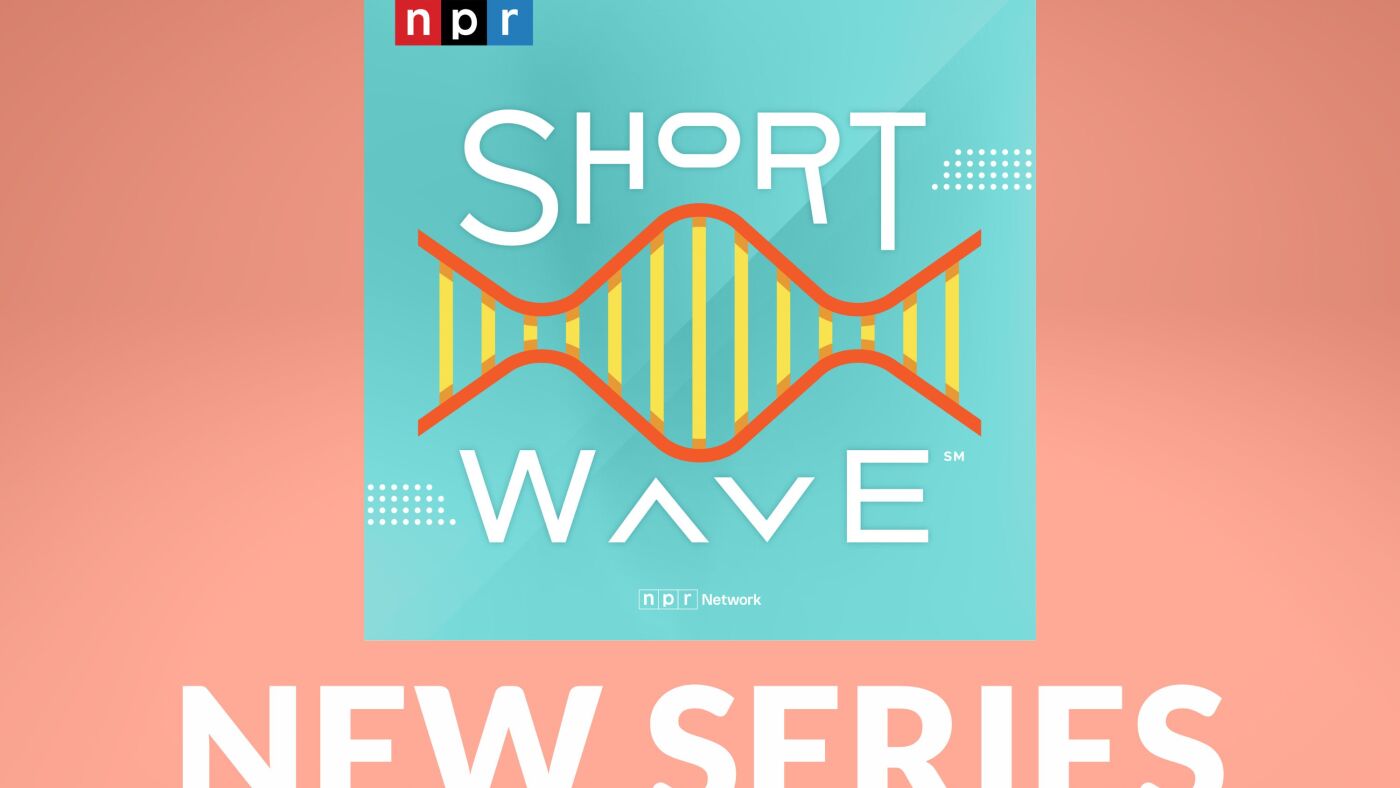 New & noteworthy podcasts to listen to on the NPR app : NPR