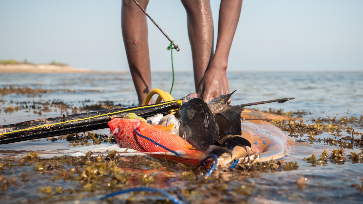 Photos: Fishermen in Madagascar dive to conserve and protect ocean life ...