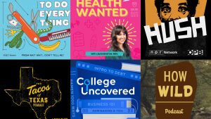 Podcast Recommendations from the NPR Network : NPR