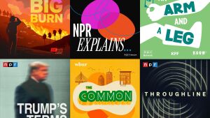 Podcast Recommendations from the NPR Network : NPR