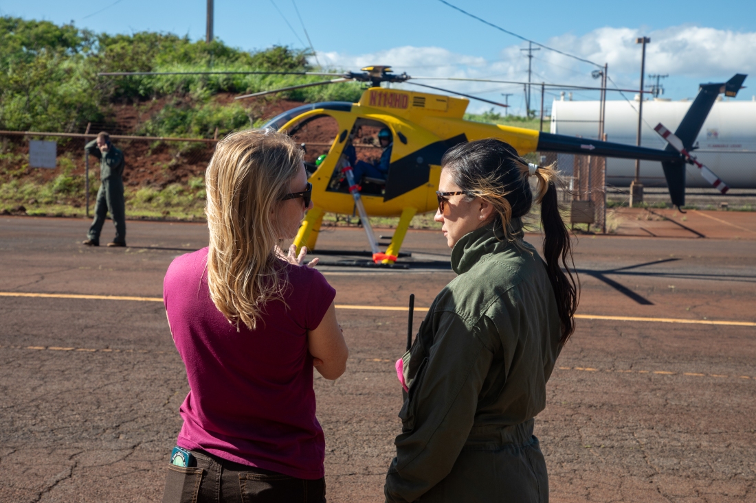 How releasing mosquitoes could save Hawaii's endangered birds : NPR