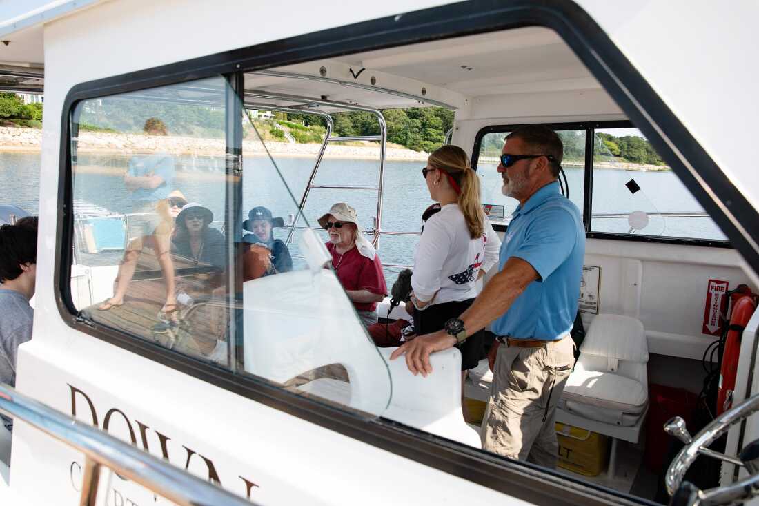 Shark tours in Cape Cod : The Picture Show : NPR