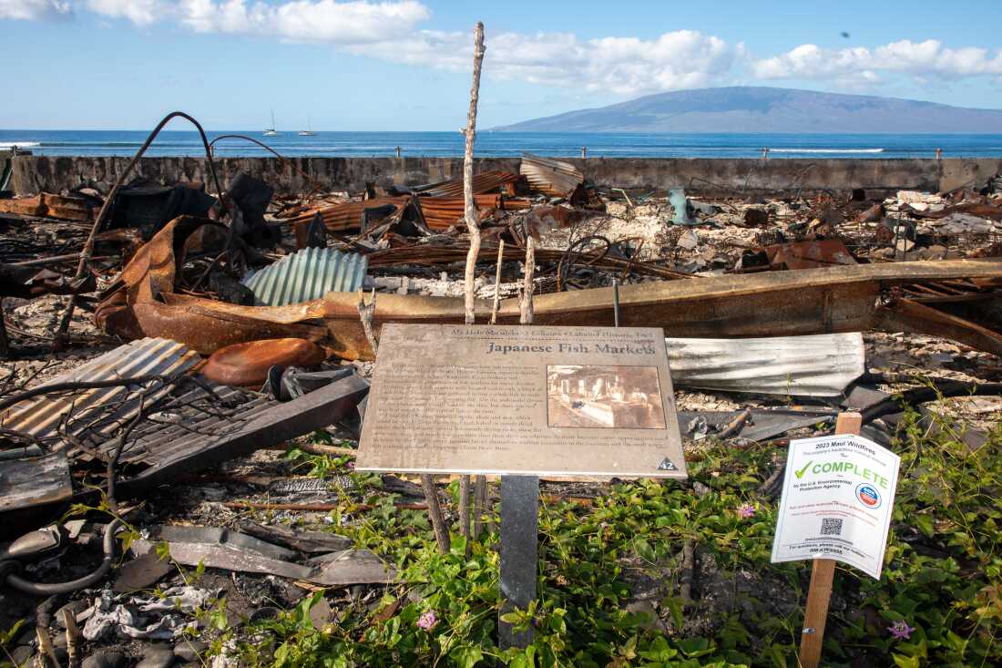 Rebuilding Lahaina to be more resilient after deadly wildfire : NPR