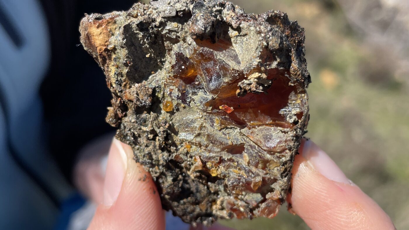 Ancient amber from Lebanon offers a glimpse of a turning point in Earth ...