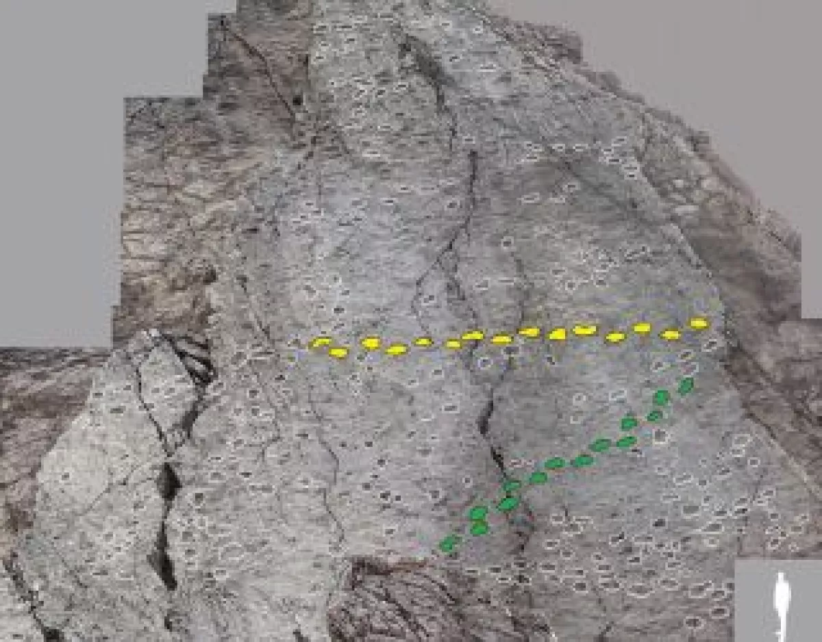 A photographer discovers miles of dinosaur tracks near Italy's Winter ...