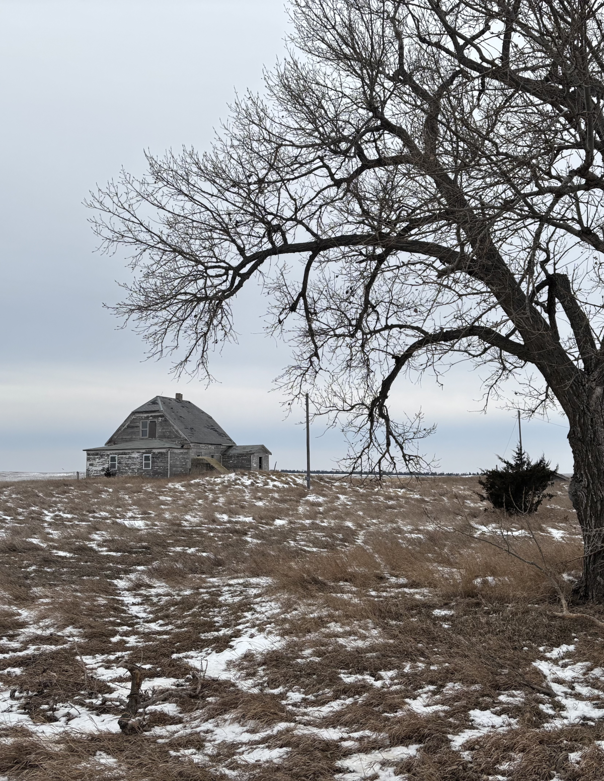 Many farmers are going into 2026 on the brink | WBHM 90.3