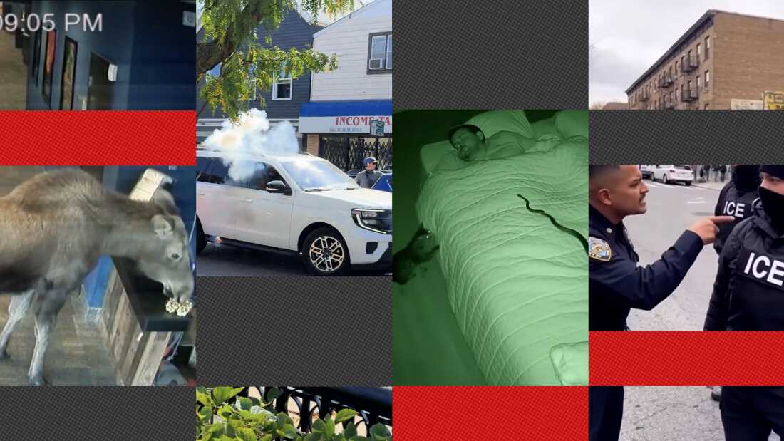 U.s. Tightens Immigration After National Guard Shooting. And, Latest On ...