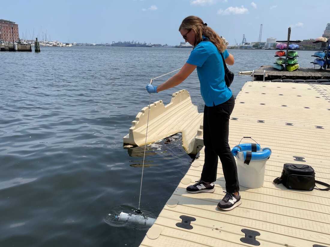 Baltimore cleans up Inner Harbor for swimming : NPR