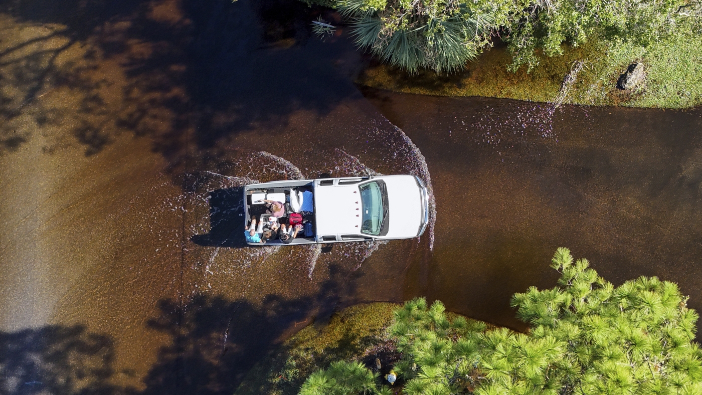 Photos: Hurricane Milton brings damage across Florida : The Picture ...