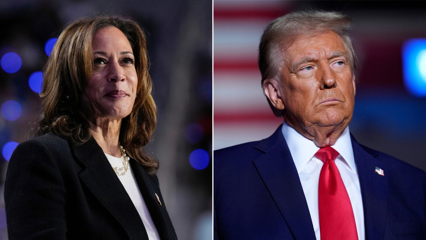 2024 election overview: A wild campaign comes to an end : NPR