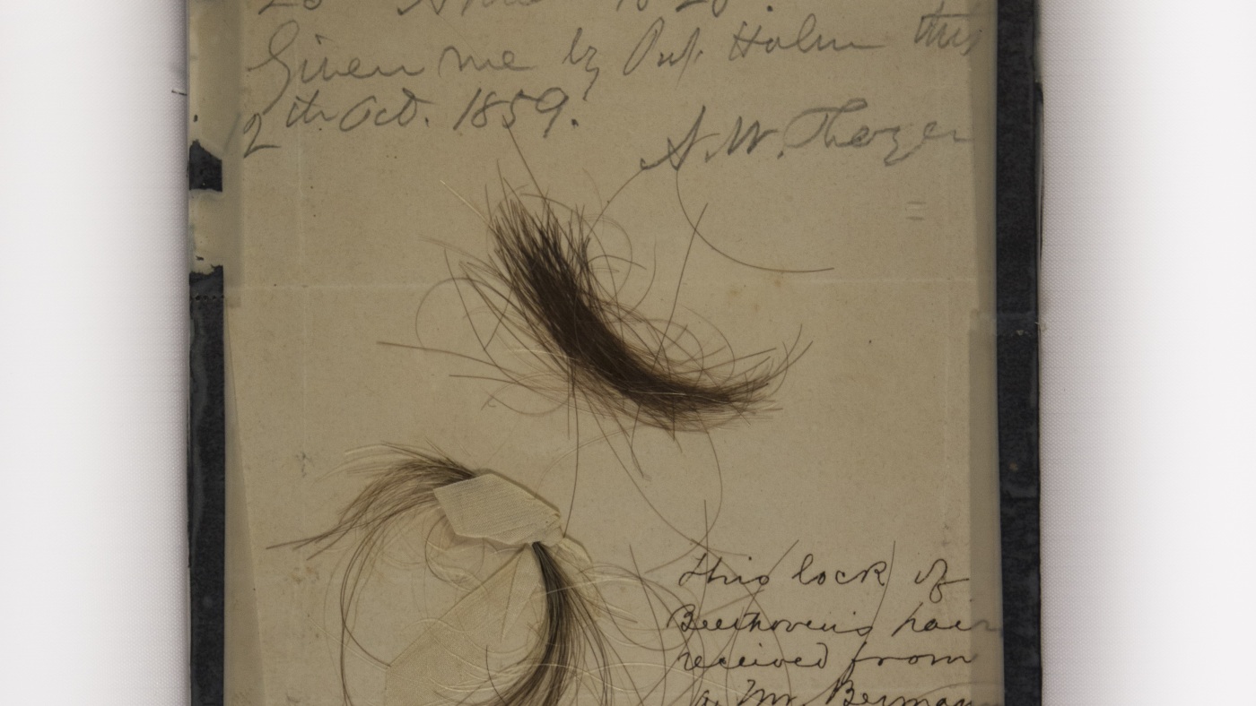 Beethoven's hair samples reveal high levels of toxic lead, study shows ...