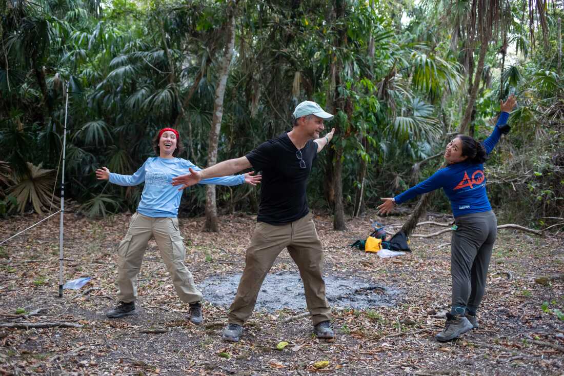 Bats have a lot of secrets. These bat-loving scientists are ...