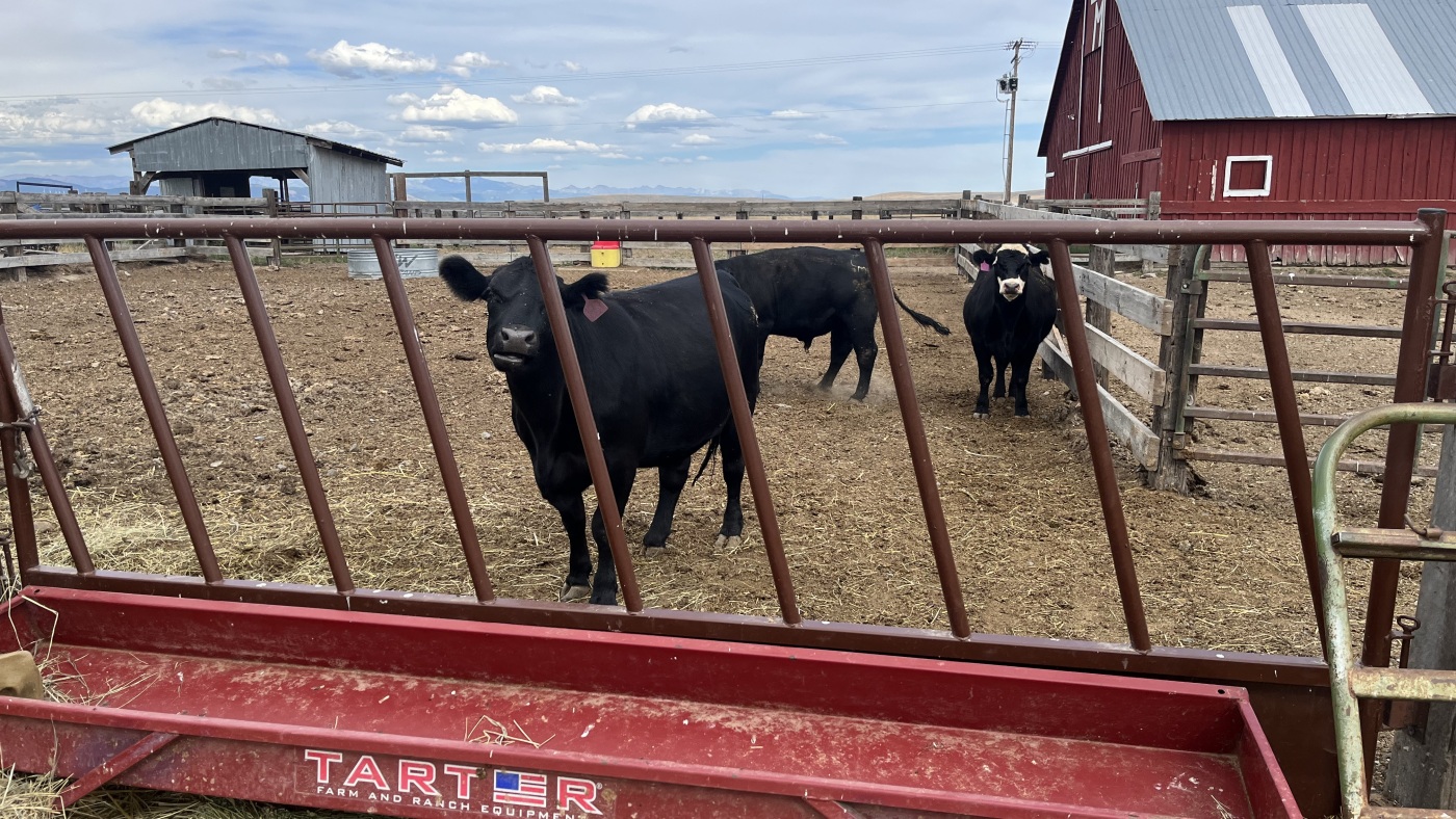 Oregon ranchers say losses from summer fires are huge : NPR