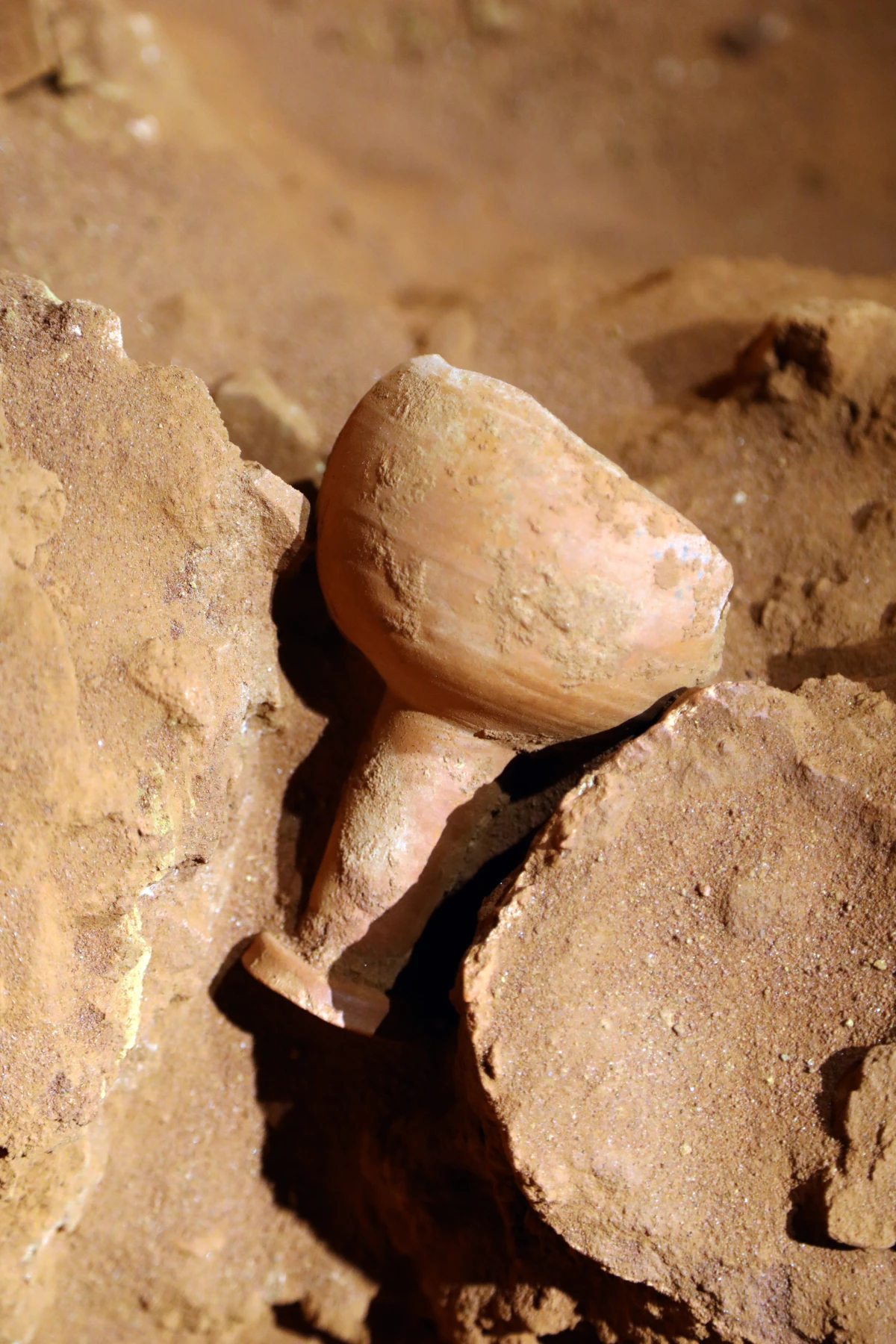 Archaeologists discover 12 skeletons at a buried tomb in Petra, Jordan ...