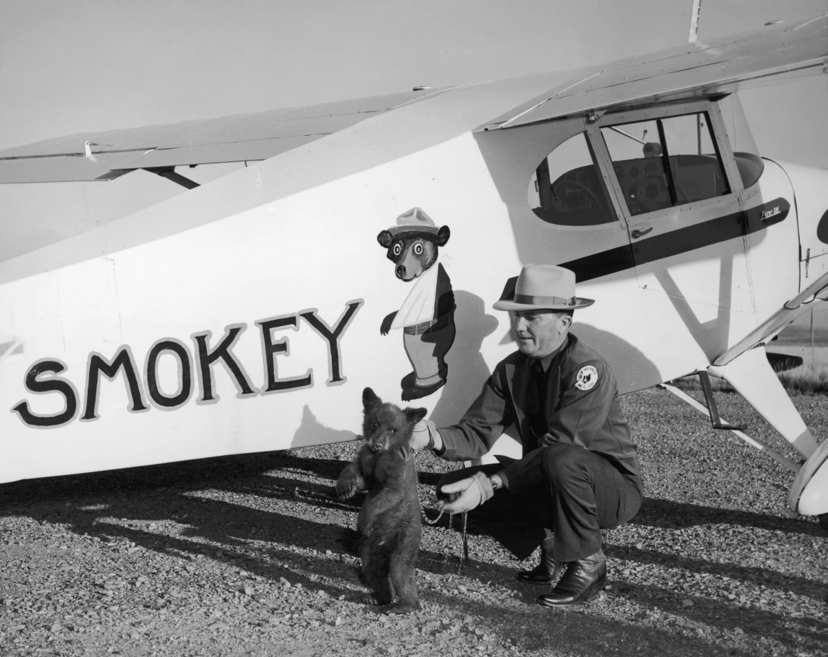 Smokey Bear turns 80 this year. Did he help prevent forest fires? - TPR ...