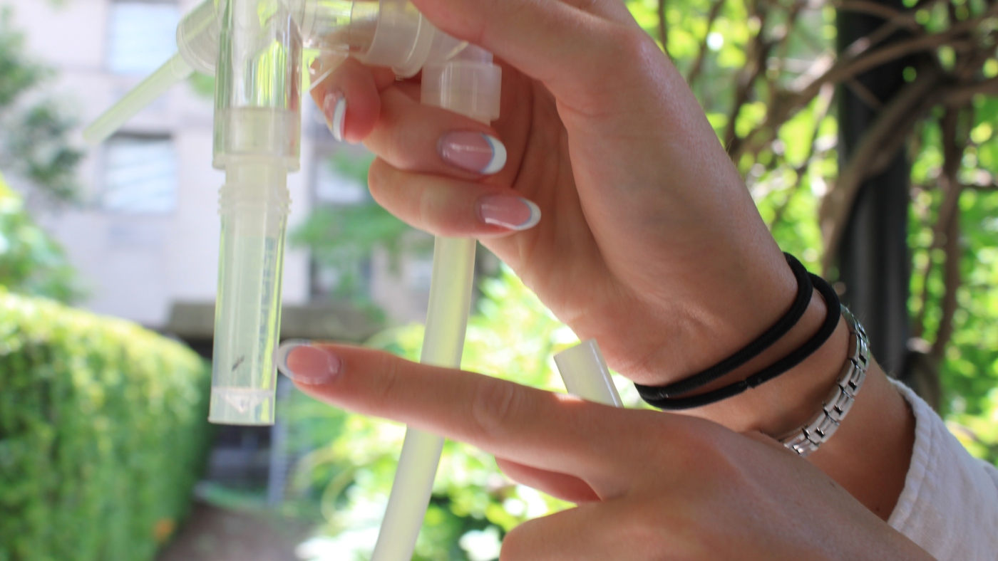 ManhattAnt: Scientists worried about New York ant species' fast spread ...